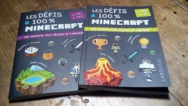 Les défis 100 % Minecraft : des défis de maths et de logique pour ...