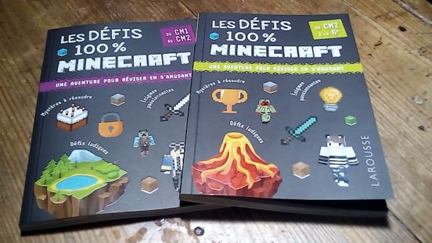 Les défis 100 % Minecraft : des défis de maths et de logique pour ...