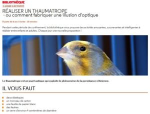 1 jour 1 activité : des activités amusantes à faire à la maison - Geek ...